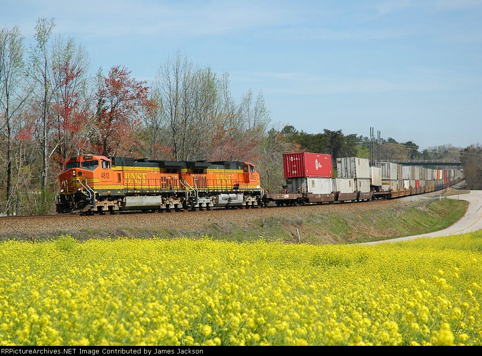203 w/BNSF 4813